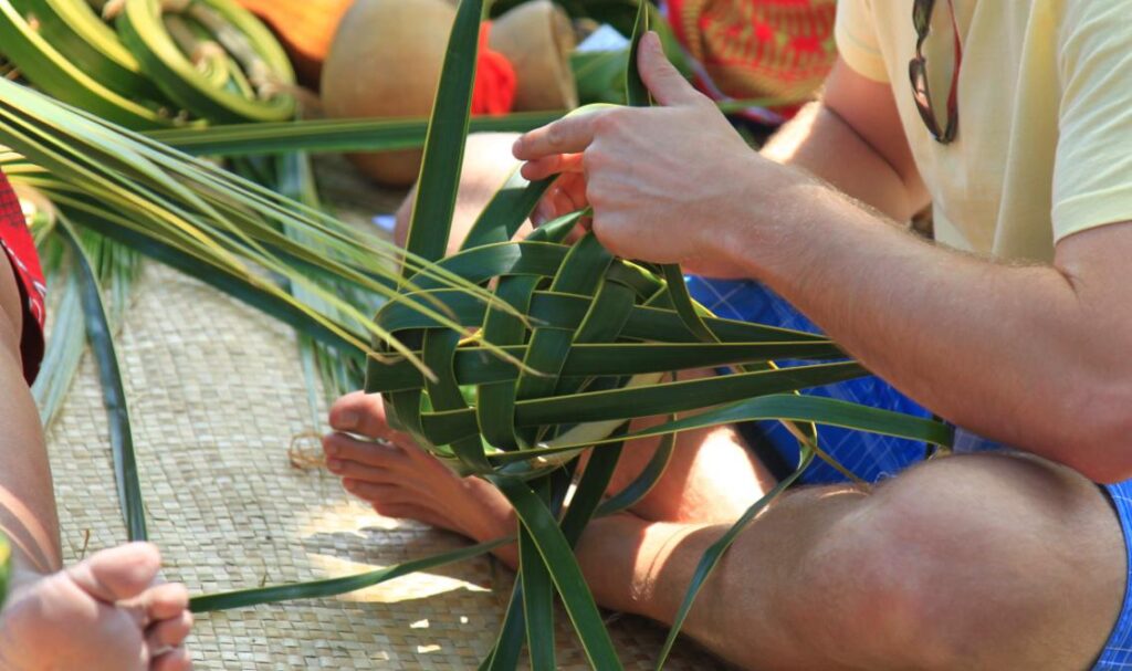 Hawaii Projects - Community Arts International